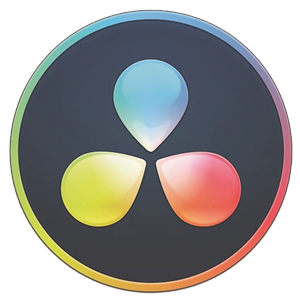 DaVinci Reslove Basiskennis – DaVinci Resolve Training